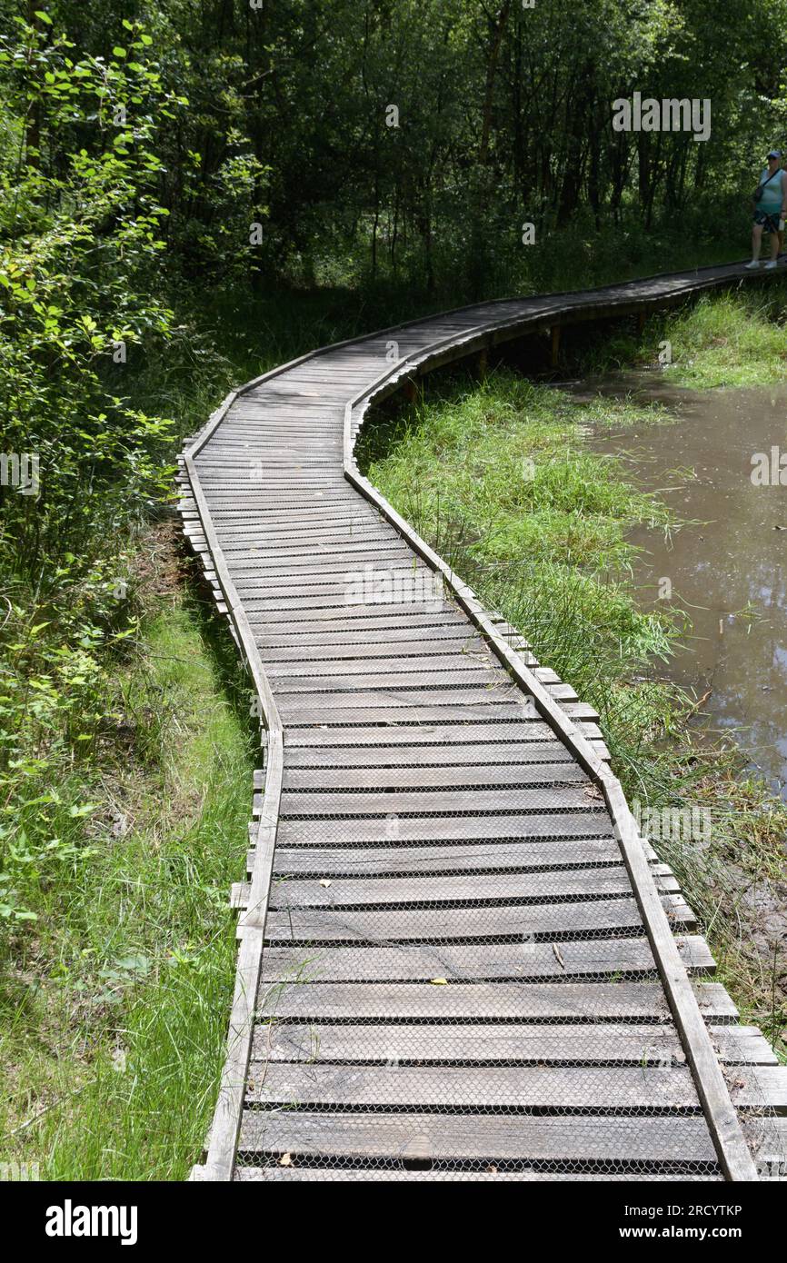 park old wooden bridge over pond water trees shadow summer landscape ...
