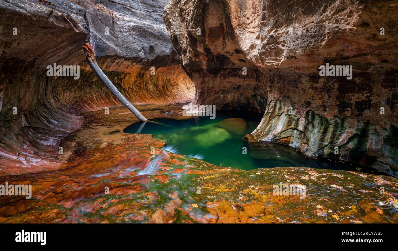 Subway, Zion National Park Utah Stock Photo - Alamy