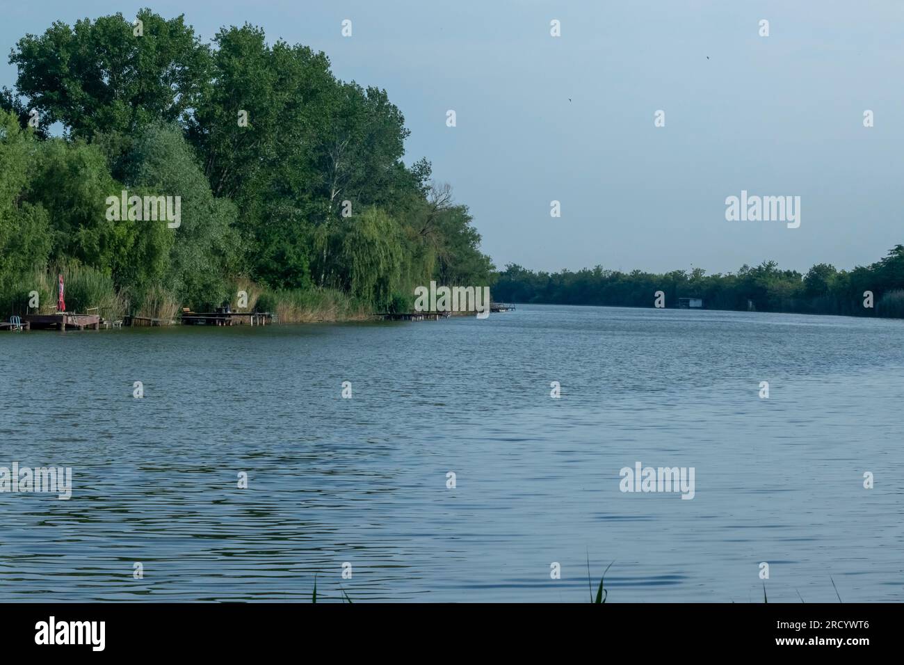Dead Tisa river, Backo Gradiste, Serbia Stock Photo - Alamy