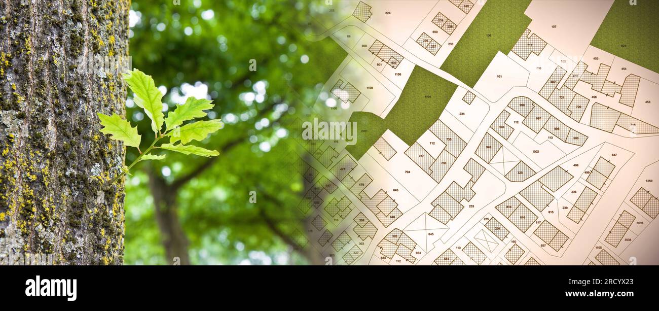 Green project in cities, reconnecting nature and city - concept with ...