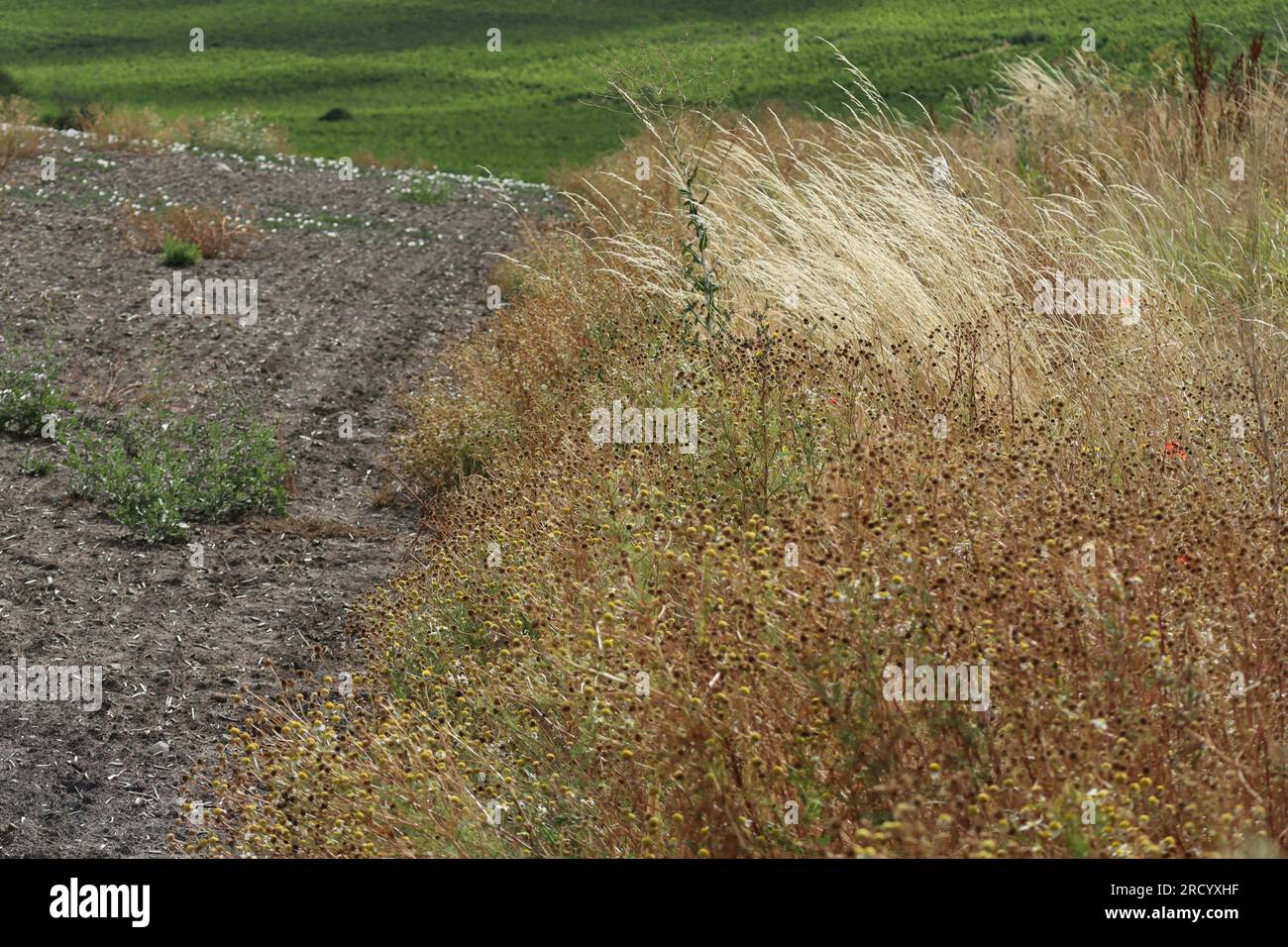 three different Soil types used in the Landscape Stock Photo - Alamy