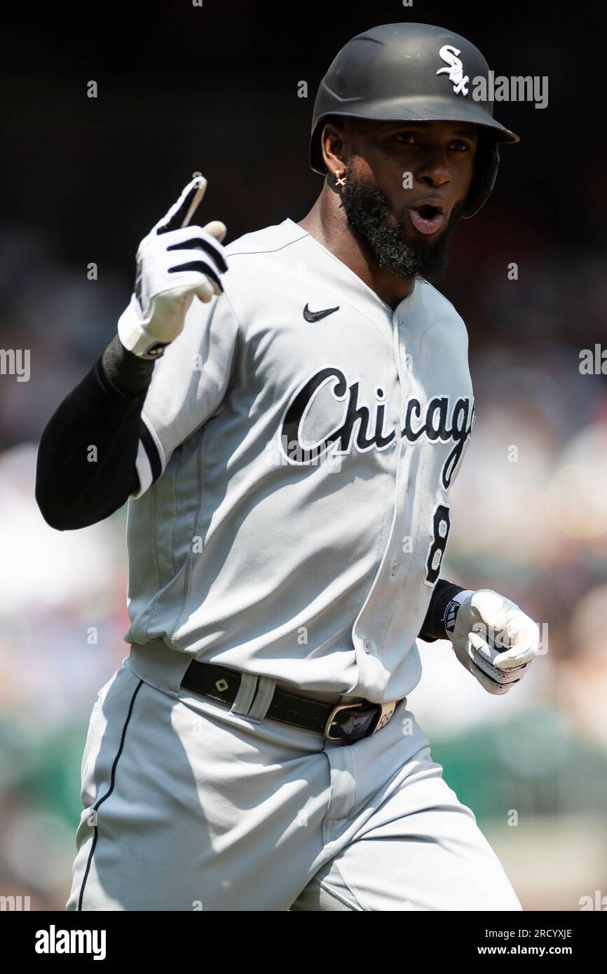 Chicago White Sox center fielder Luis Robert Jr. (88) celebrates a two ...