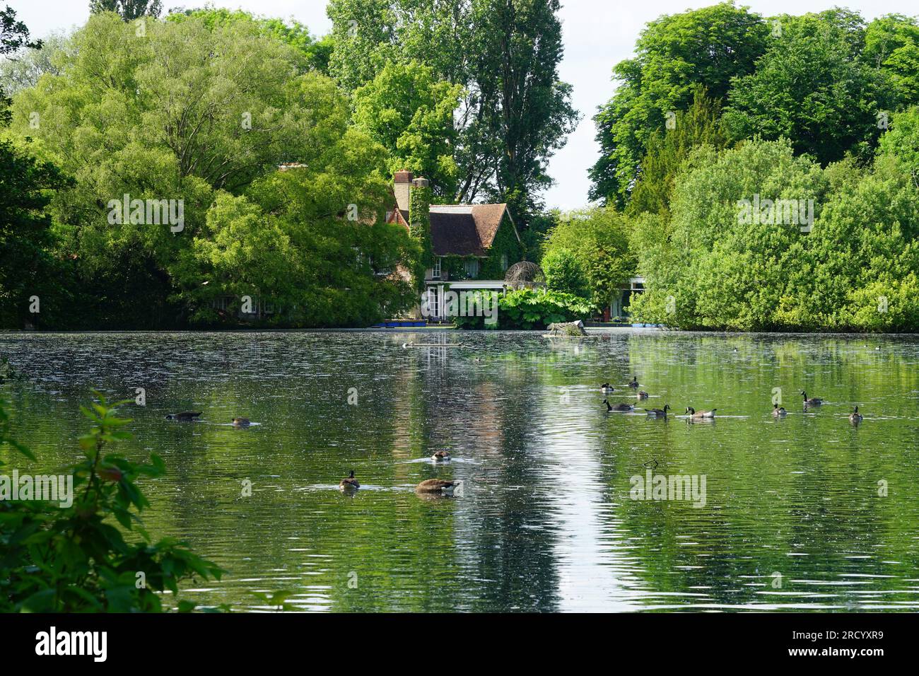 A view across the lake to the Mill House at Radwell Stock Photo - Alamy