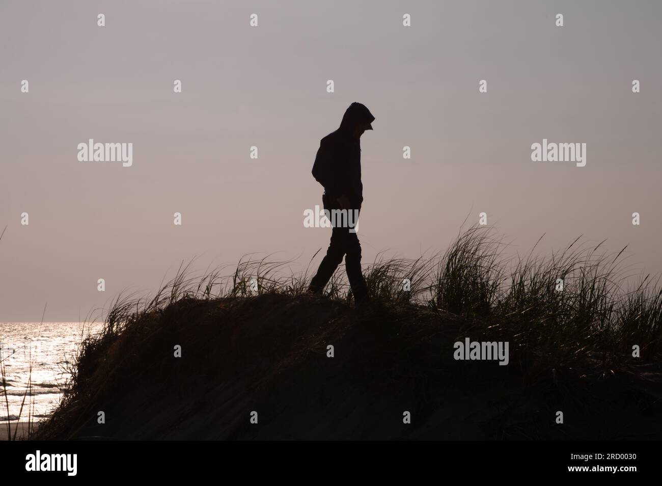 Silhouette of a man walking along the ridge of a sand dune at dusk with ...
