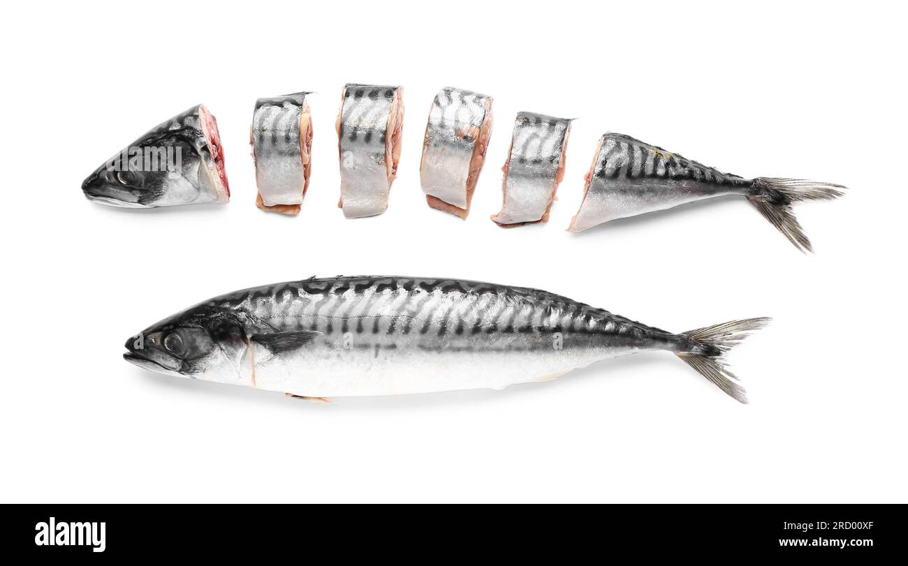 Raw mackerel fish on white background Stock Photo - Alamy