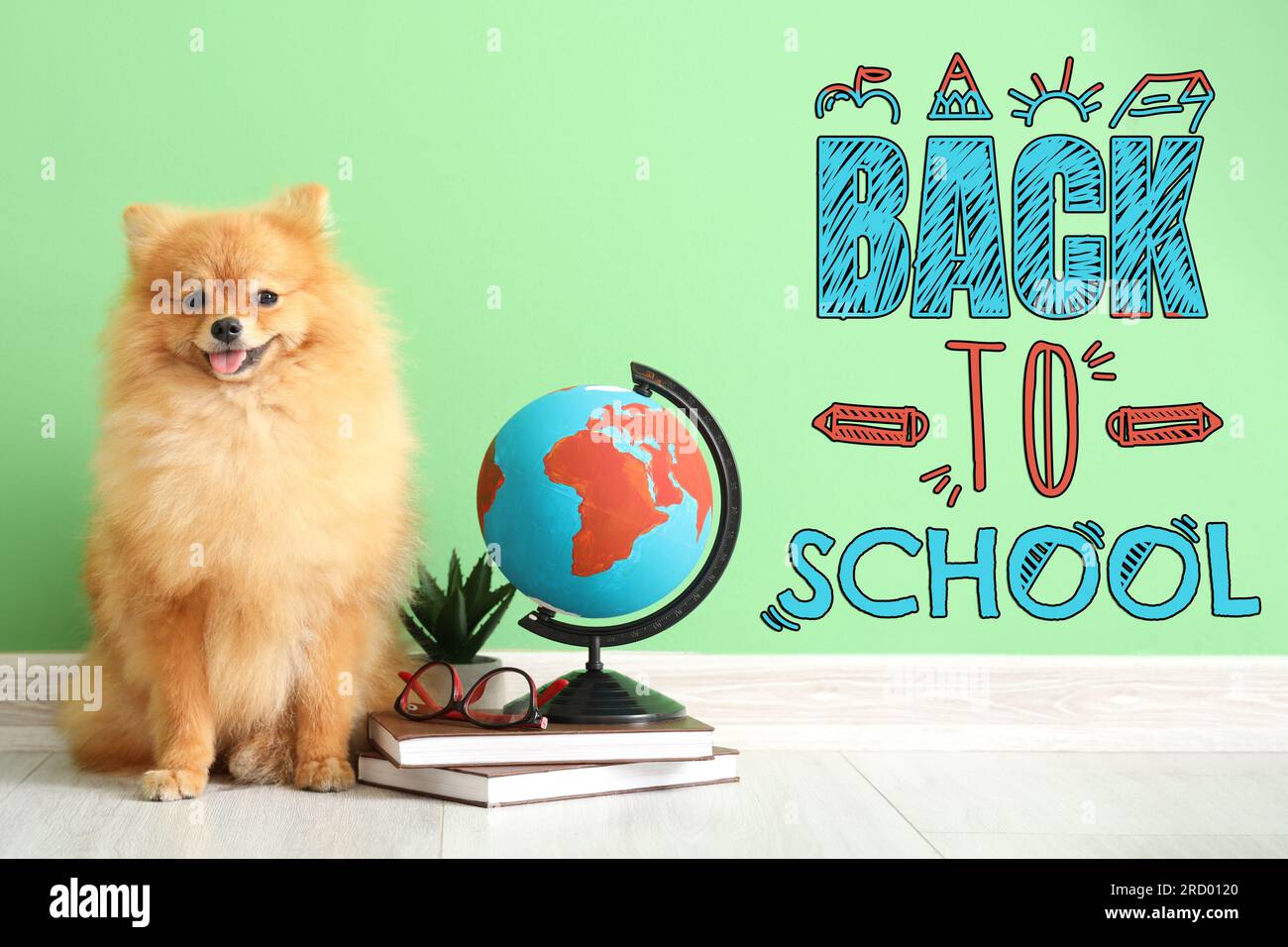 Cute Pomeranian dog with school supplies and text BACK TO SCHOOL on ...