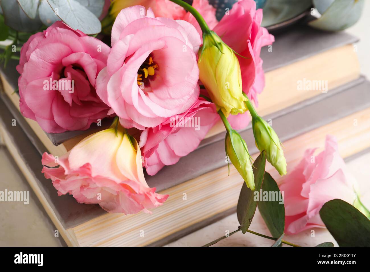 Beautiful pink eustoma flowers with eucalyptus and books, closeup Stock ...