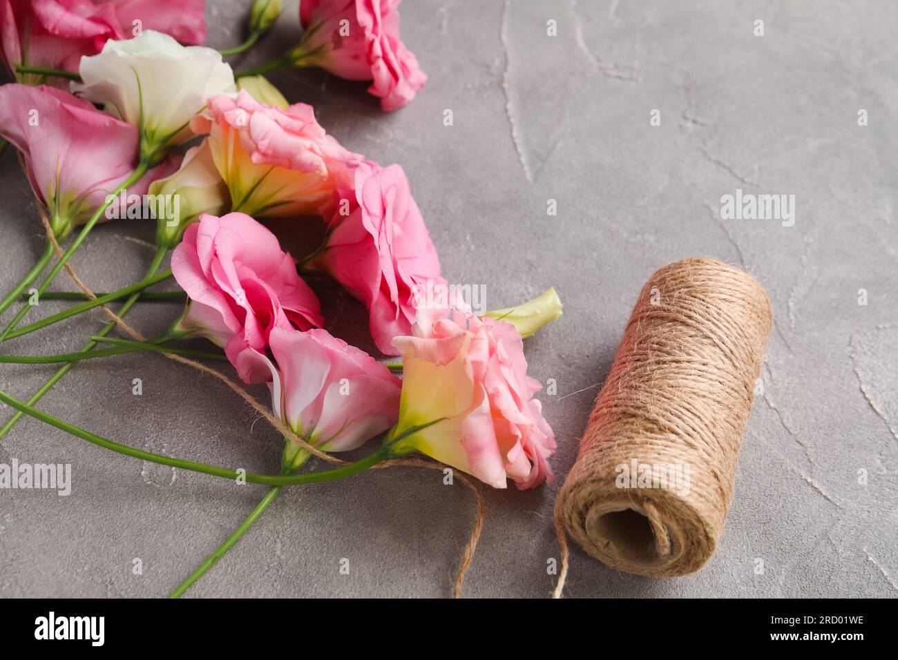 Beautiful pink eustoma flowers and threads on grey background Stock ...