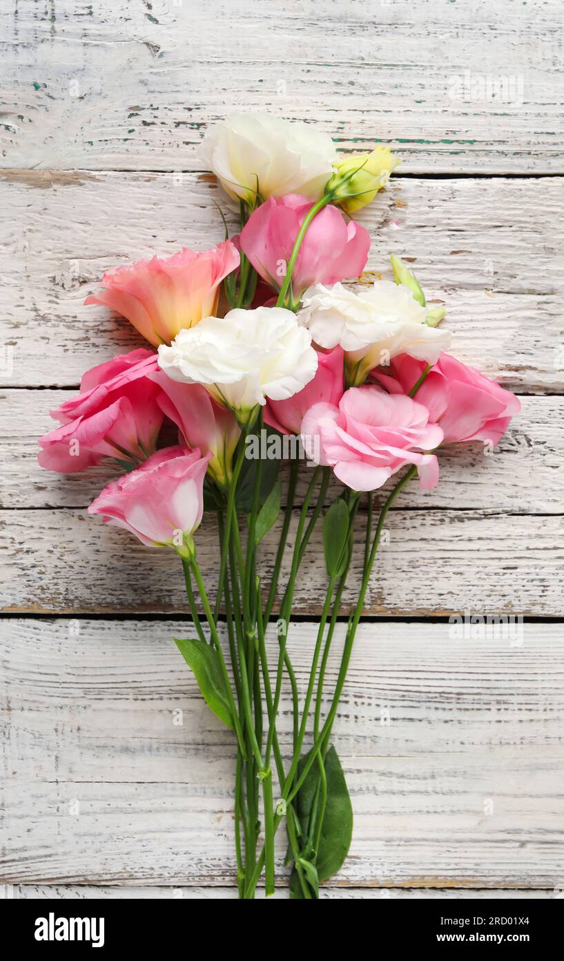 Beautiful pink eustoma flowers on white wooden background Stock Photo ...