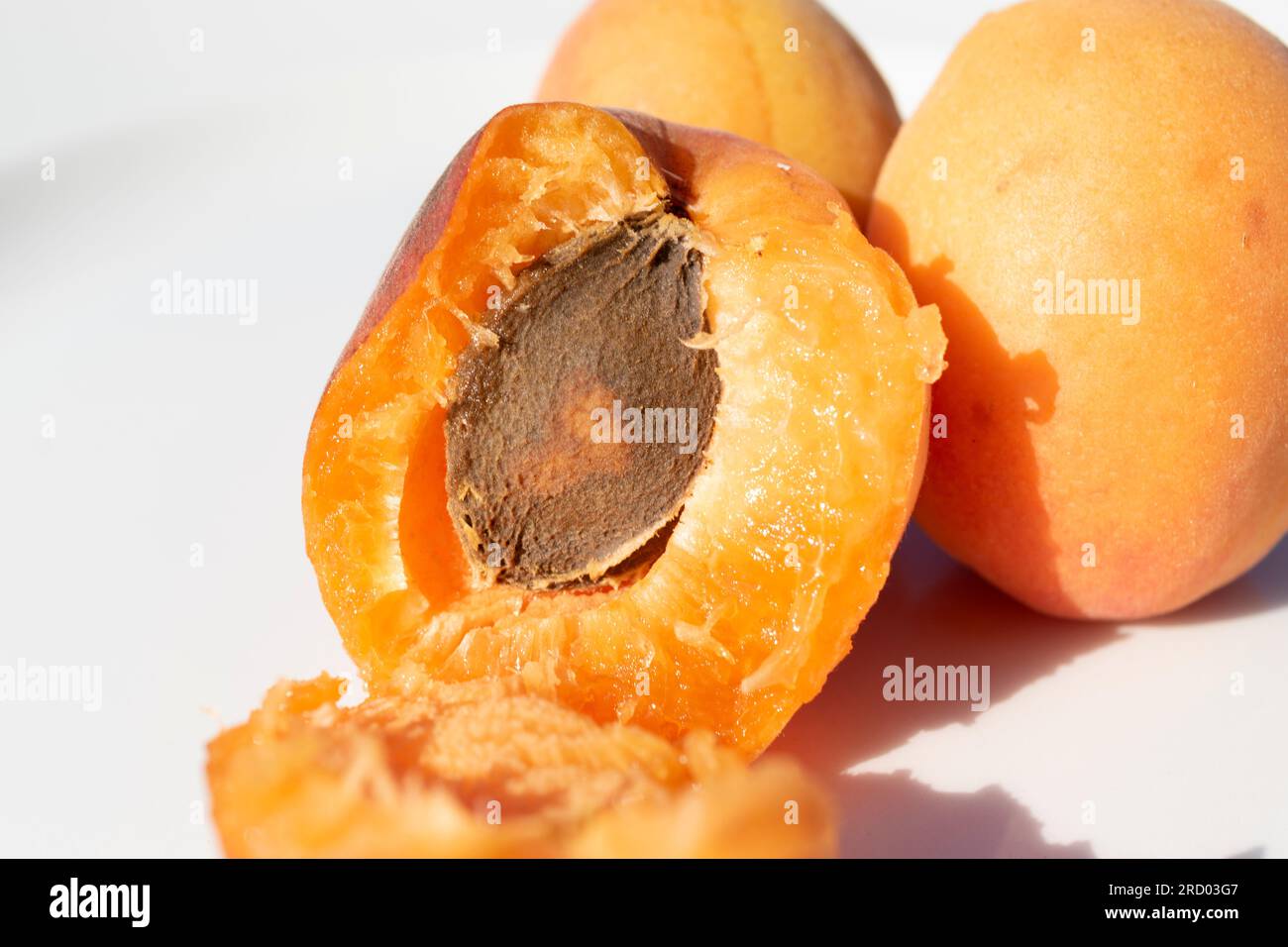 Apricots pattern hi-res stock photography and images - Alamy
