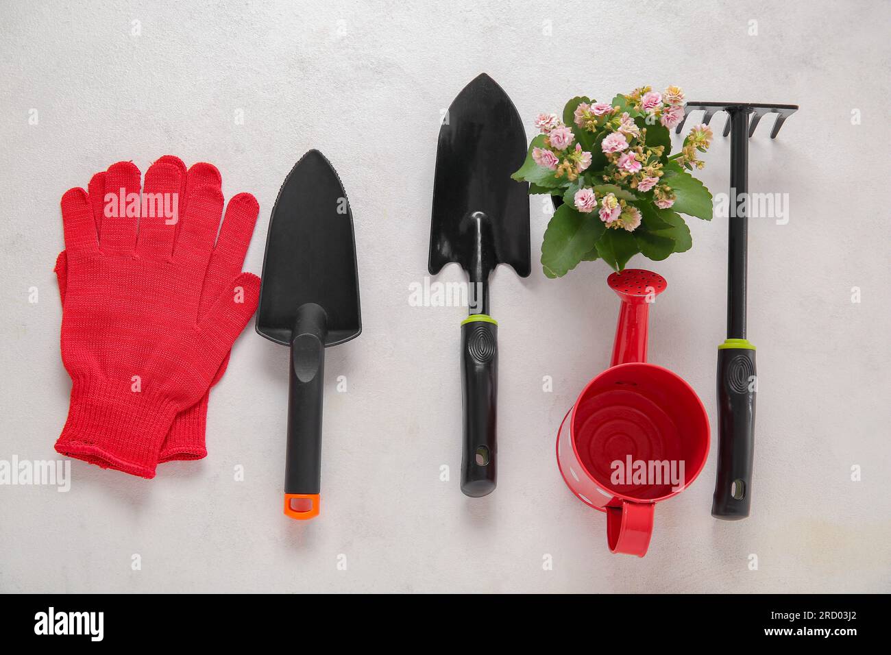 Plant with different gardening tools on light background Stock Photo ...