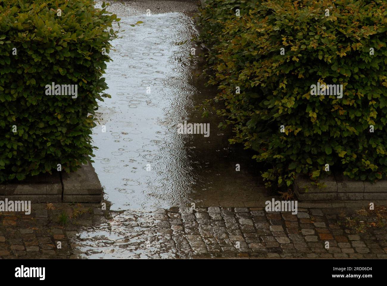 17 July 2023/ weather Heat &rain fall in danish capital Copenhagen ...