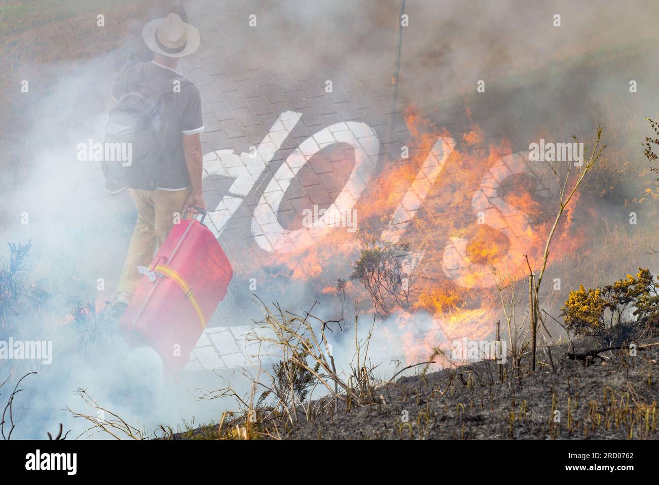 Tourist with wheeled luggage walking over stop sign on road. Forest ...