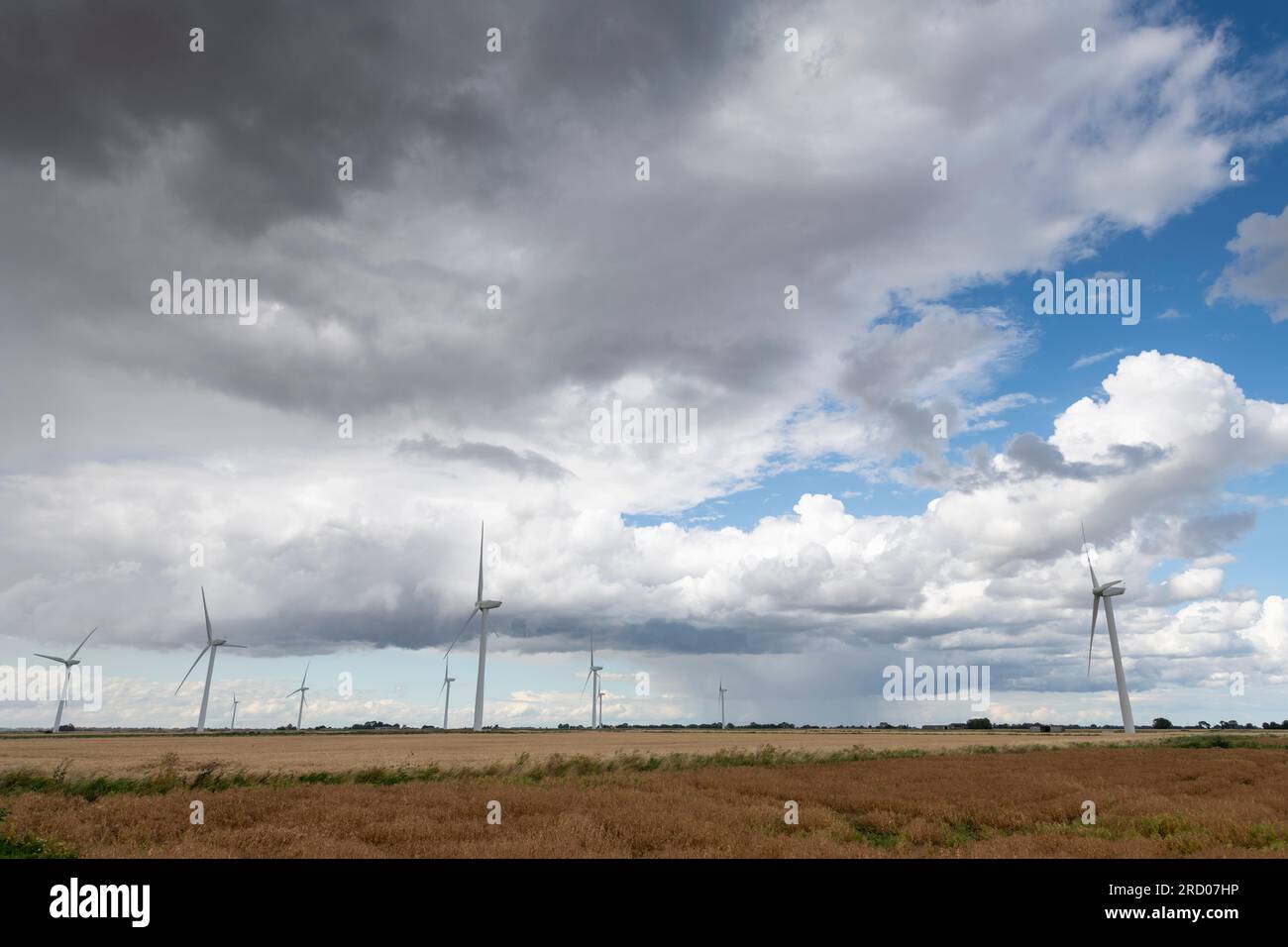 Warboys, Cambridgeshire, UK. 17th July, 2023. Wind turbines punctuate ...