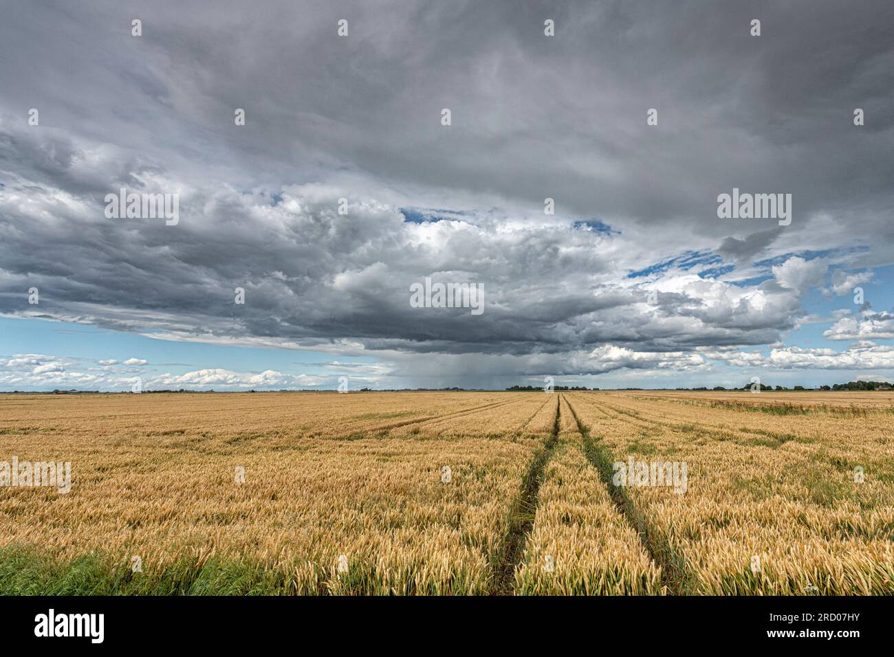 Tick Fen, Cambridgeshire, UK. 17th July, 2023. Tram lines lead to the ...
