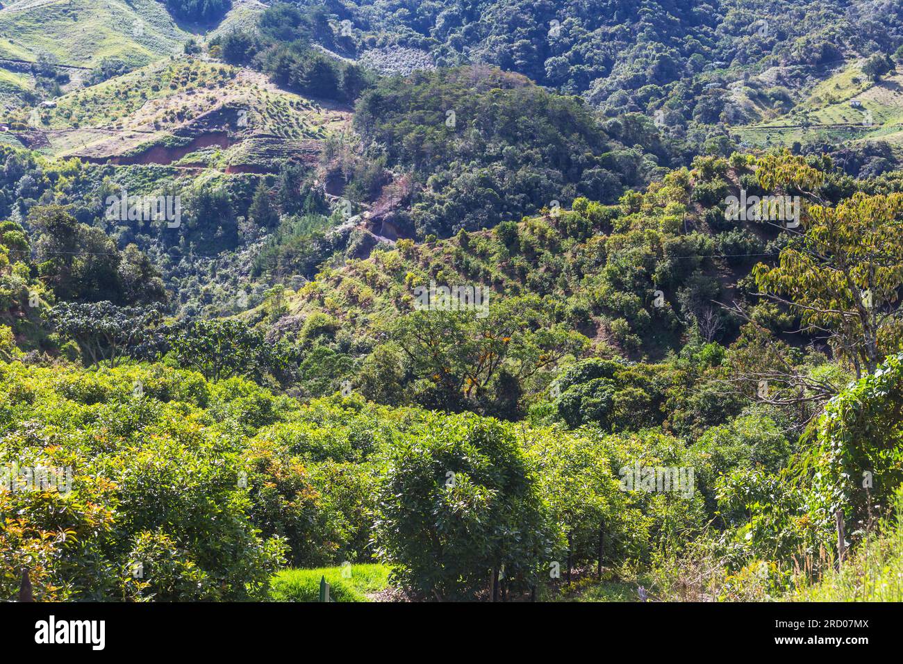 Rural landscapes in green colombian mountains Stock Photo - Alamy
