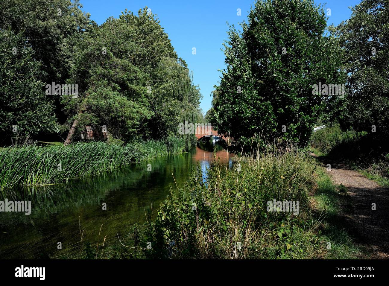 Sturry hi-res stock photography and images - Alamy
