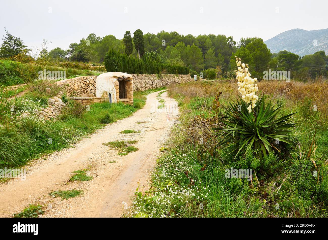 Ruta dels Pous de Xaló hiking trail with Pou del Tossalet, an antique ...