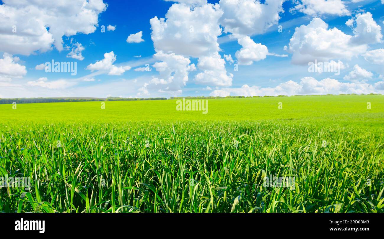 Plain blue sky sun hi-res stock photography and images - Alamy