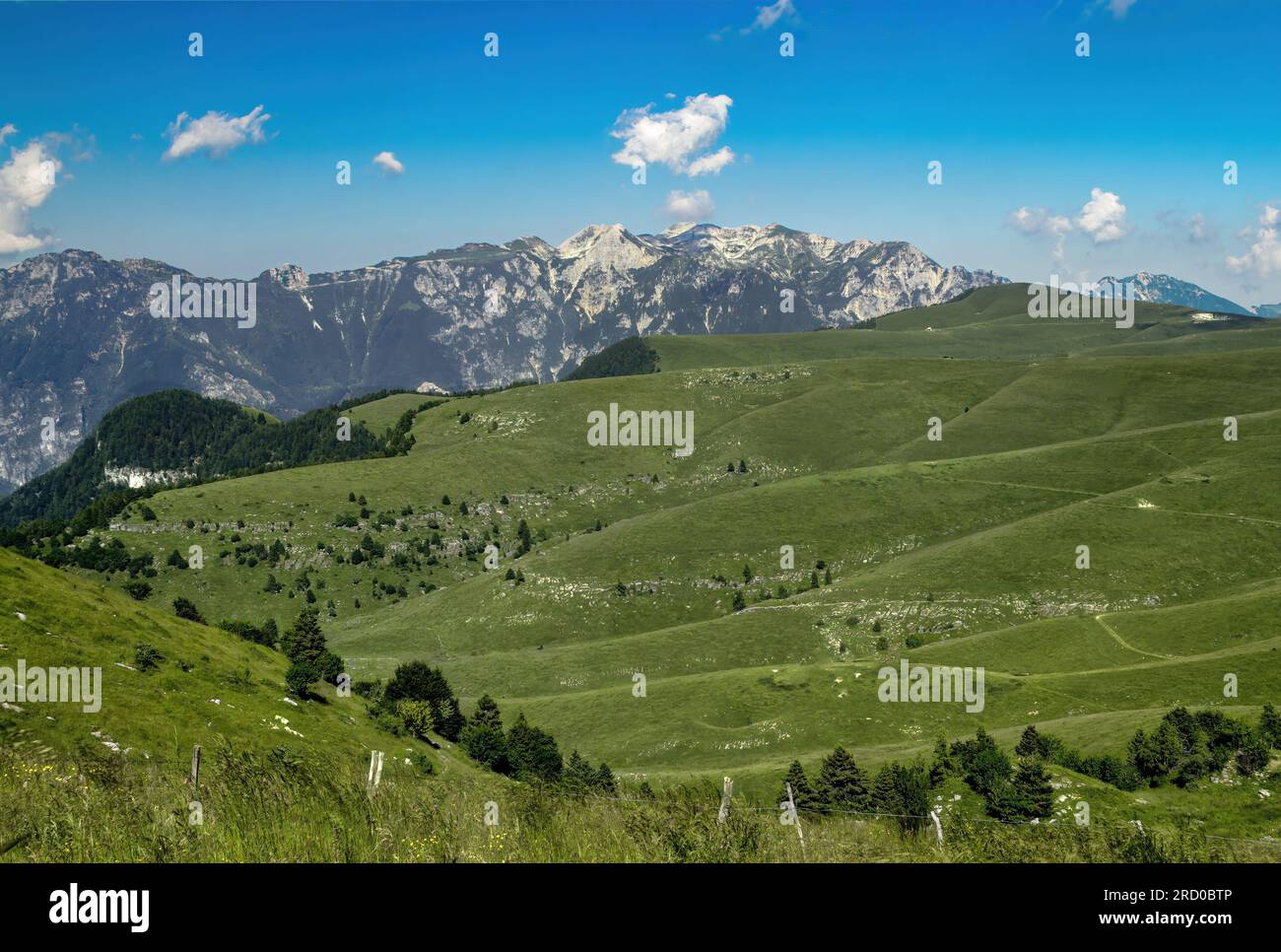 Magicalessinia hi-res stock photography and images - Alamy