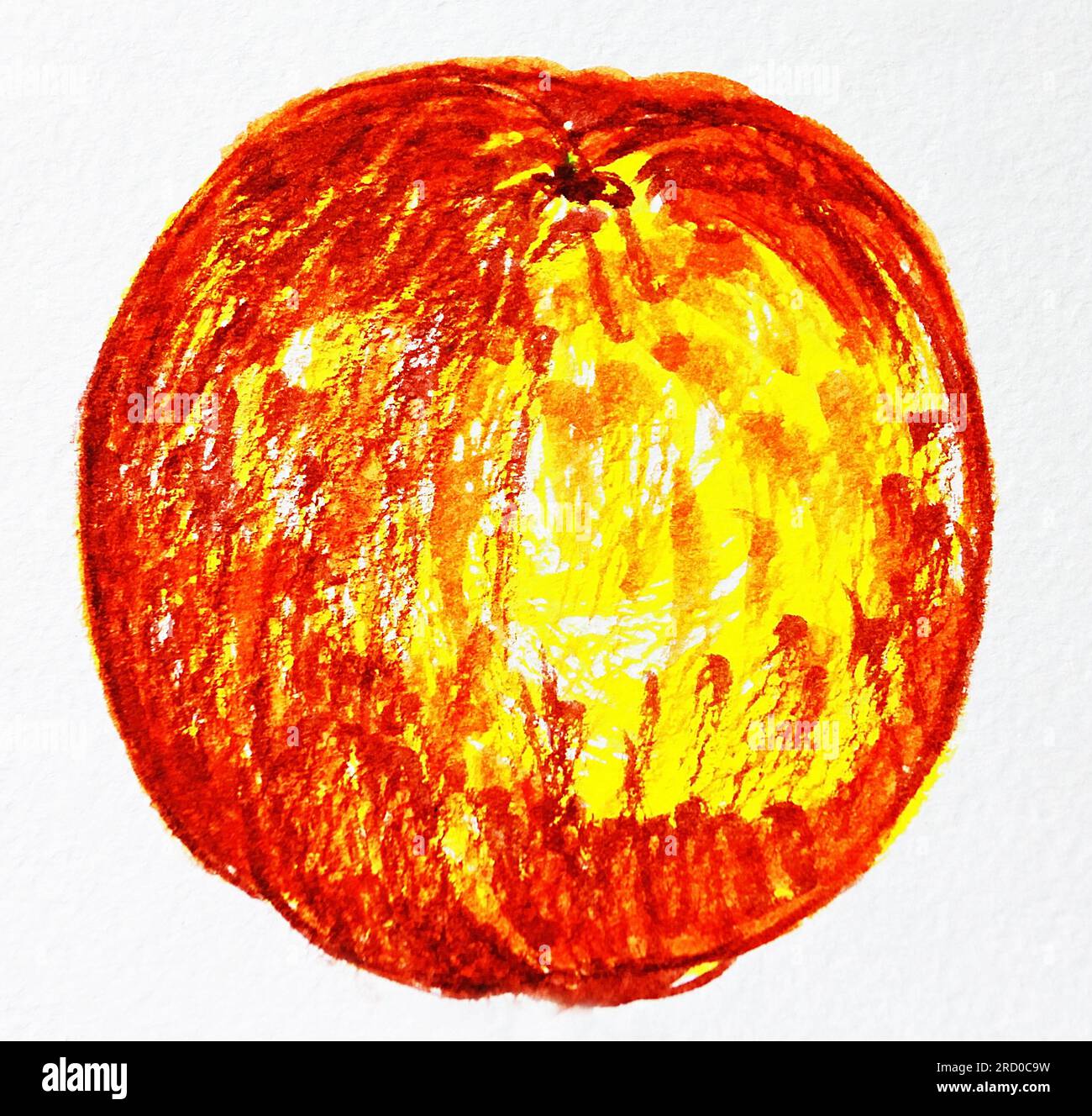 orange fruit watercolor drawn apple orange, sketch. on spruce ...