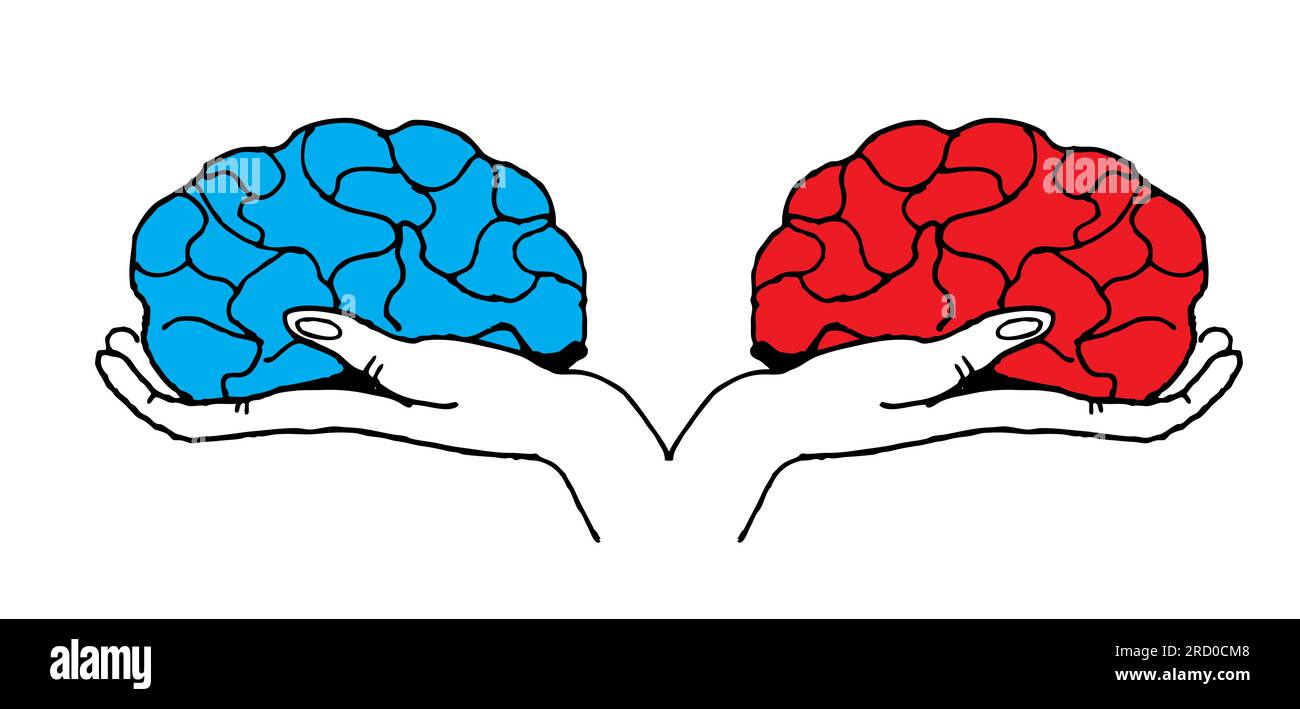 hold the brain in hands red and blue opposites, feminine and masculine ...