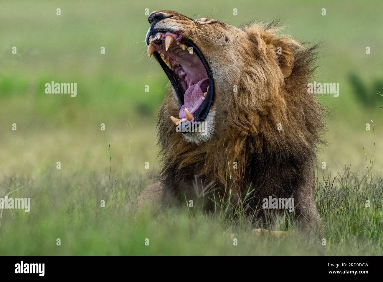 5 january 2023 hi-res stock photography and images - Alamy
