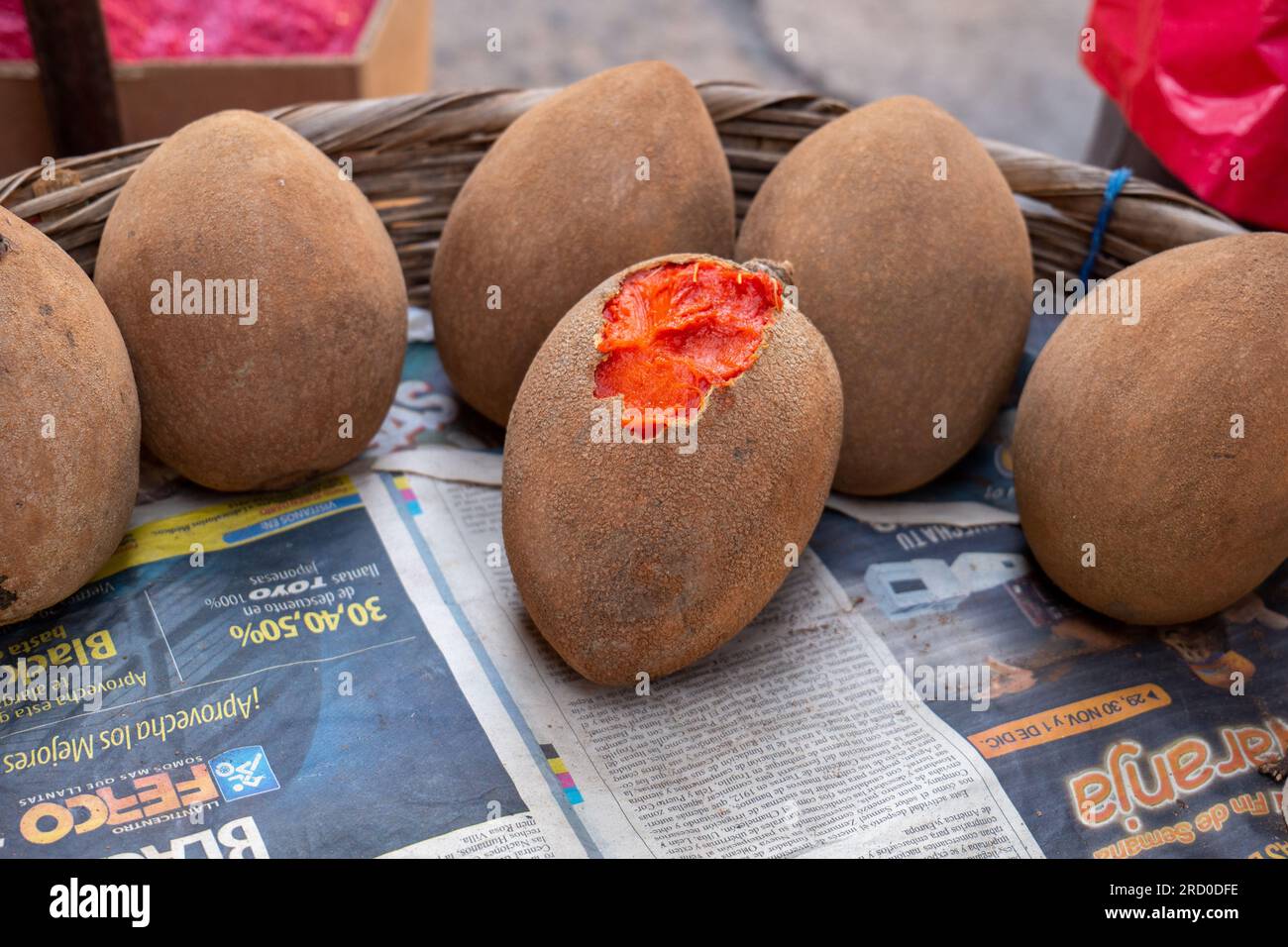 Bunch of Ripe Mamey Sapotes (Pouteria sapota) a Species Native to ...