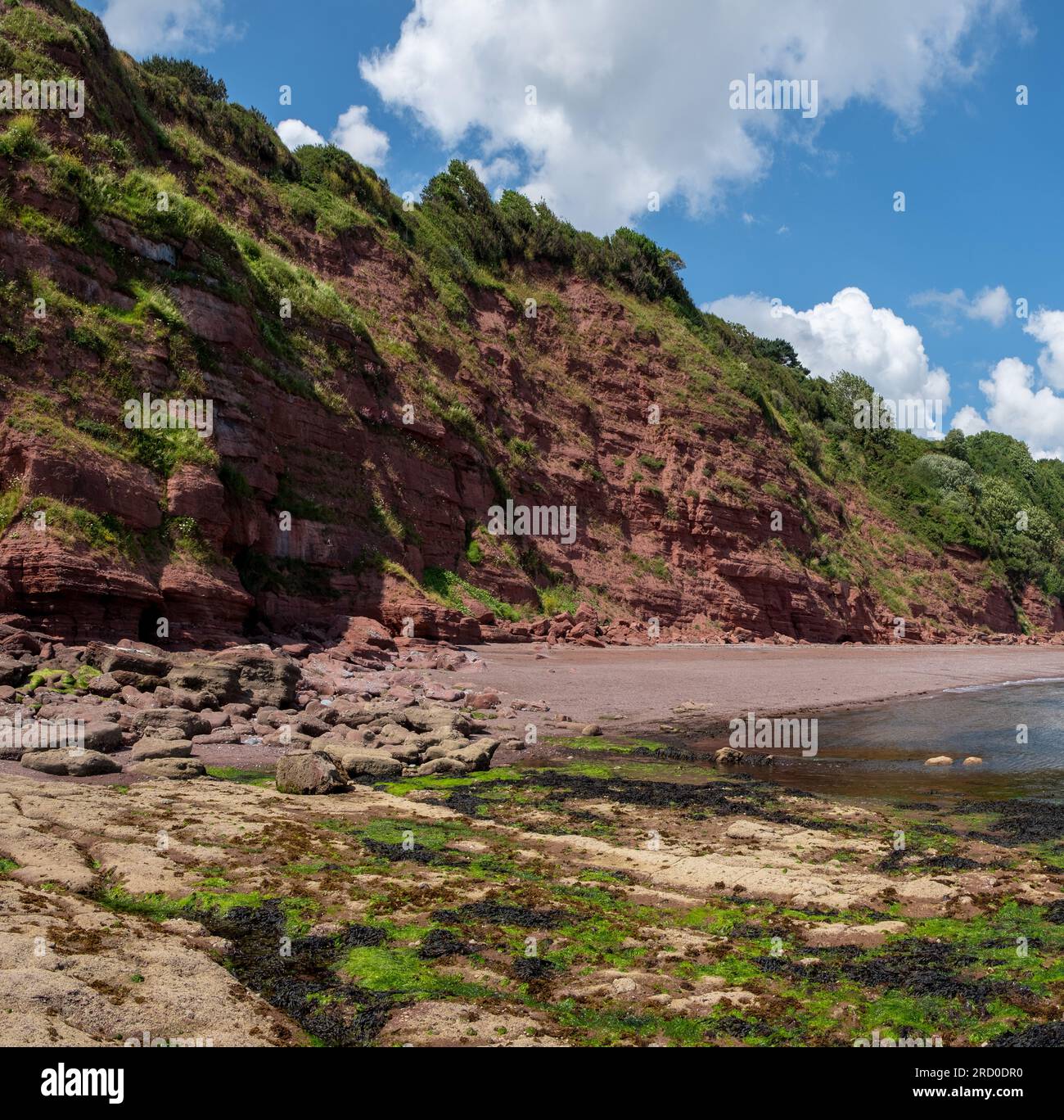 Coastline of ness cove beach, Devon, UK Stock Photo - Alamy