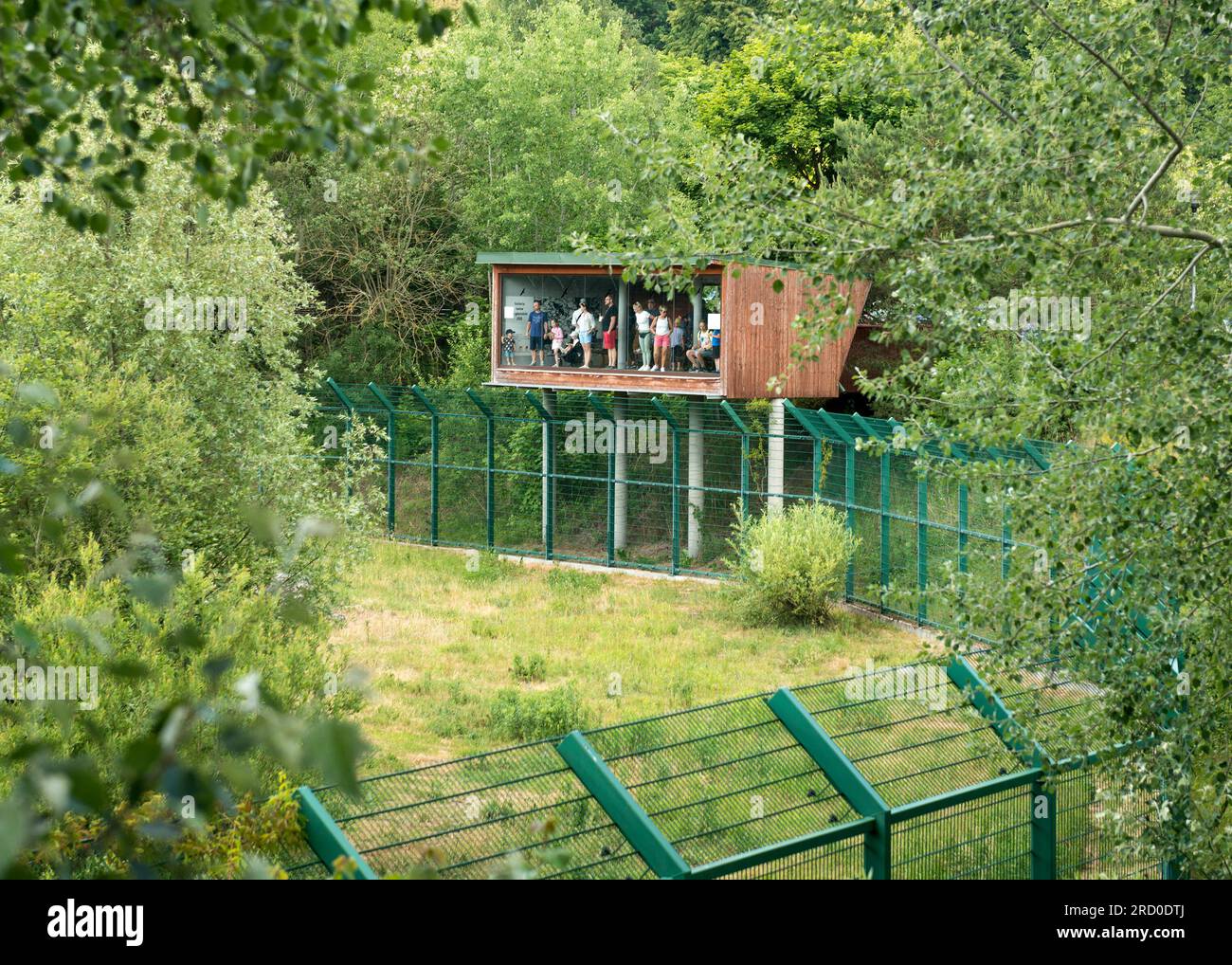Glass viewing platform at the Lion's den in the Gdansk Zoo, Oliwa ...
