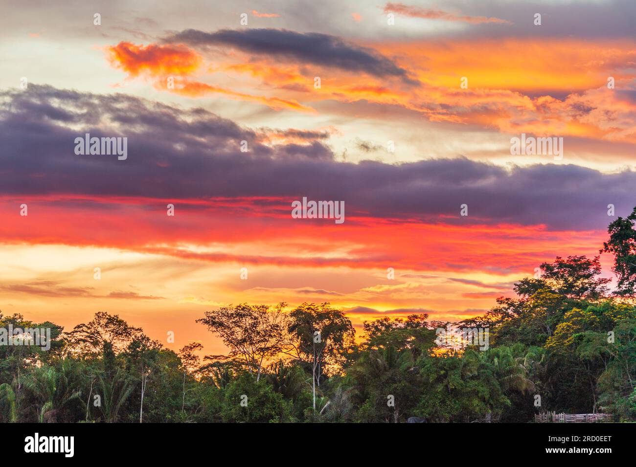 Sunset lighting clouds over Madre de Dios River in Peru Stock Photo - Alamy