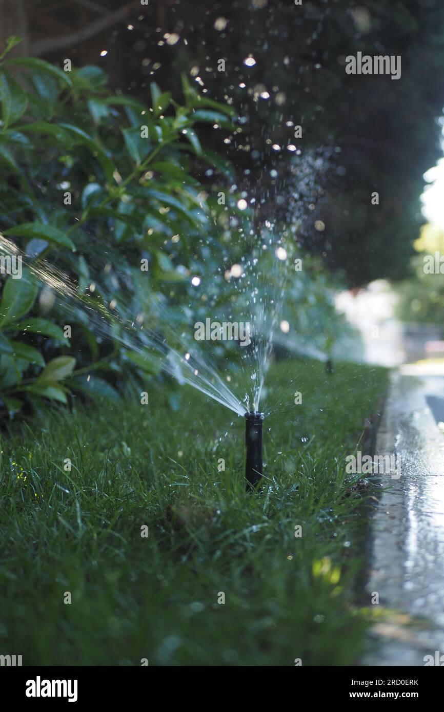 automatic watering grass, garden lawn sprinkler in action Stock Photo ...