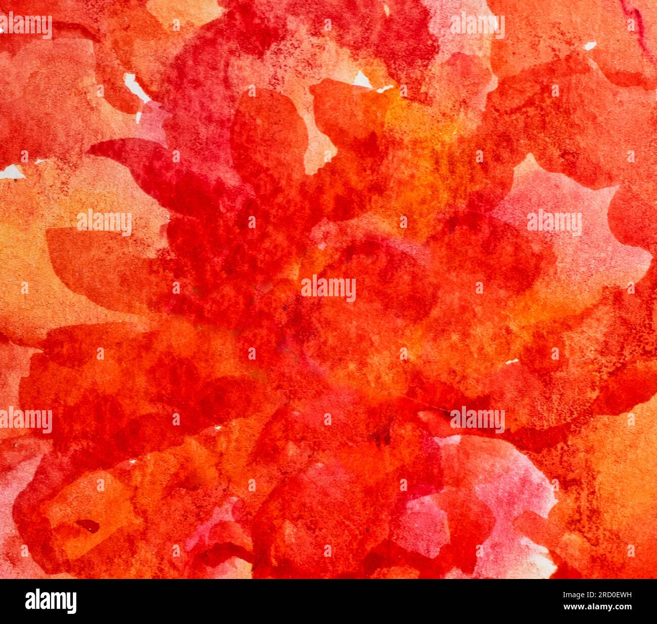 abstract red watercolor design background.Element Stock Photo - Alamy