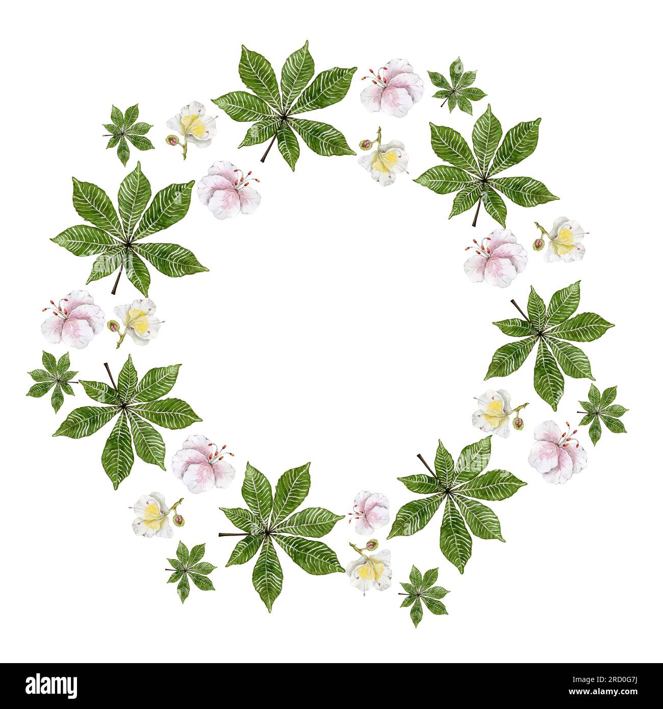 Delicate wreath of leaves and flowers of chestnut. Flower composition ...