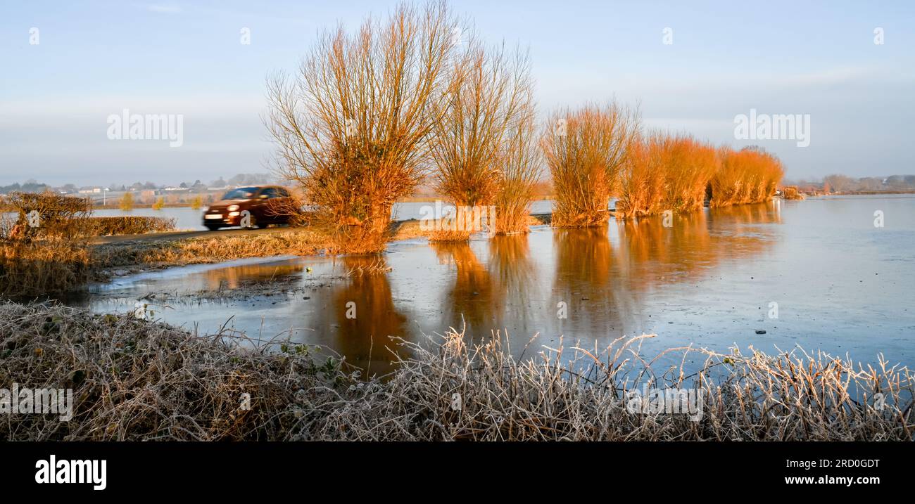 Road through the flooded and frozen Somerset Levels at Hambridge near ...