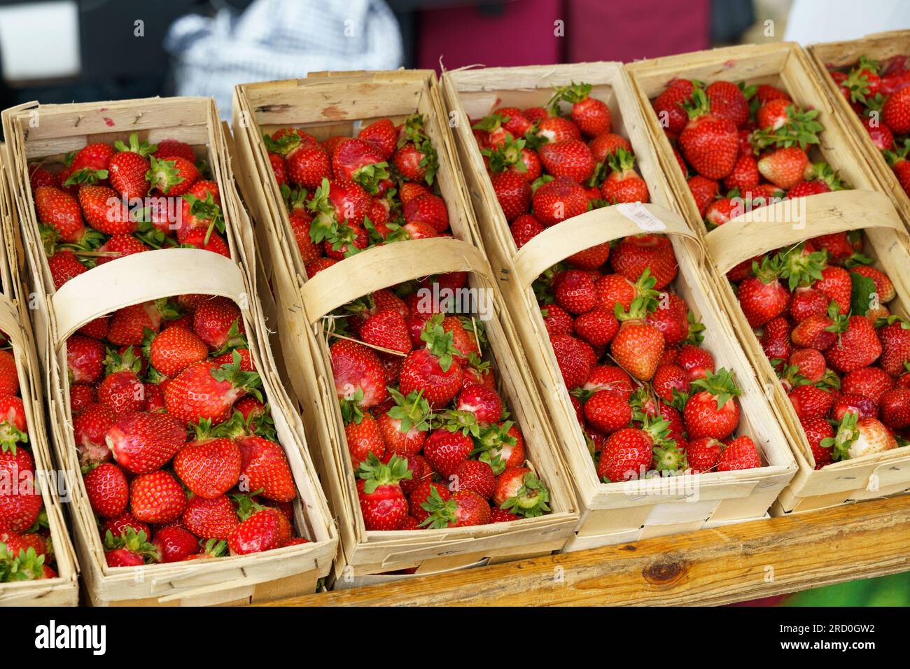 New spring harvest, boxes of ripe strawberries on the market Stock ...