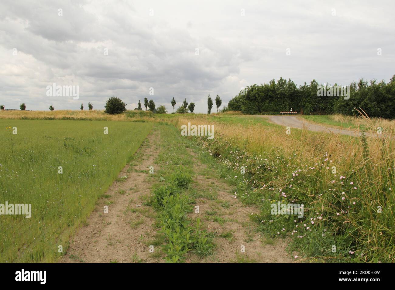 A verge hi-res stock photography and images - Alamy