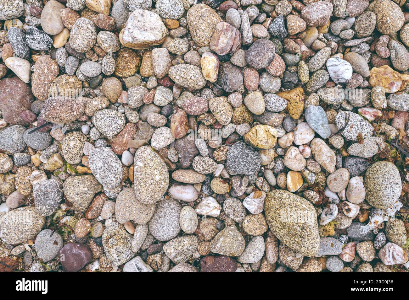 Colourful Beach Pebbles on a Cornish Shore Stock Photo - Alamy