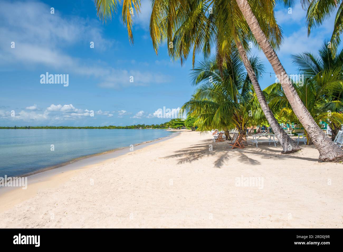 The beach at Playa Larga on the Zapata Peninsula in Cuba Stock Photo ...