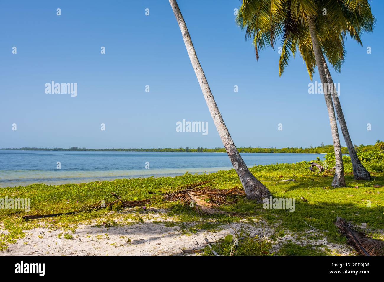 Playa larga resort hi-res stock photography and images - Alamy