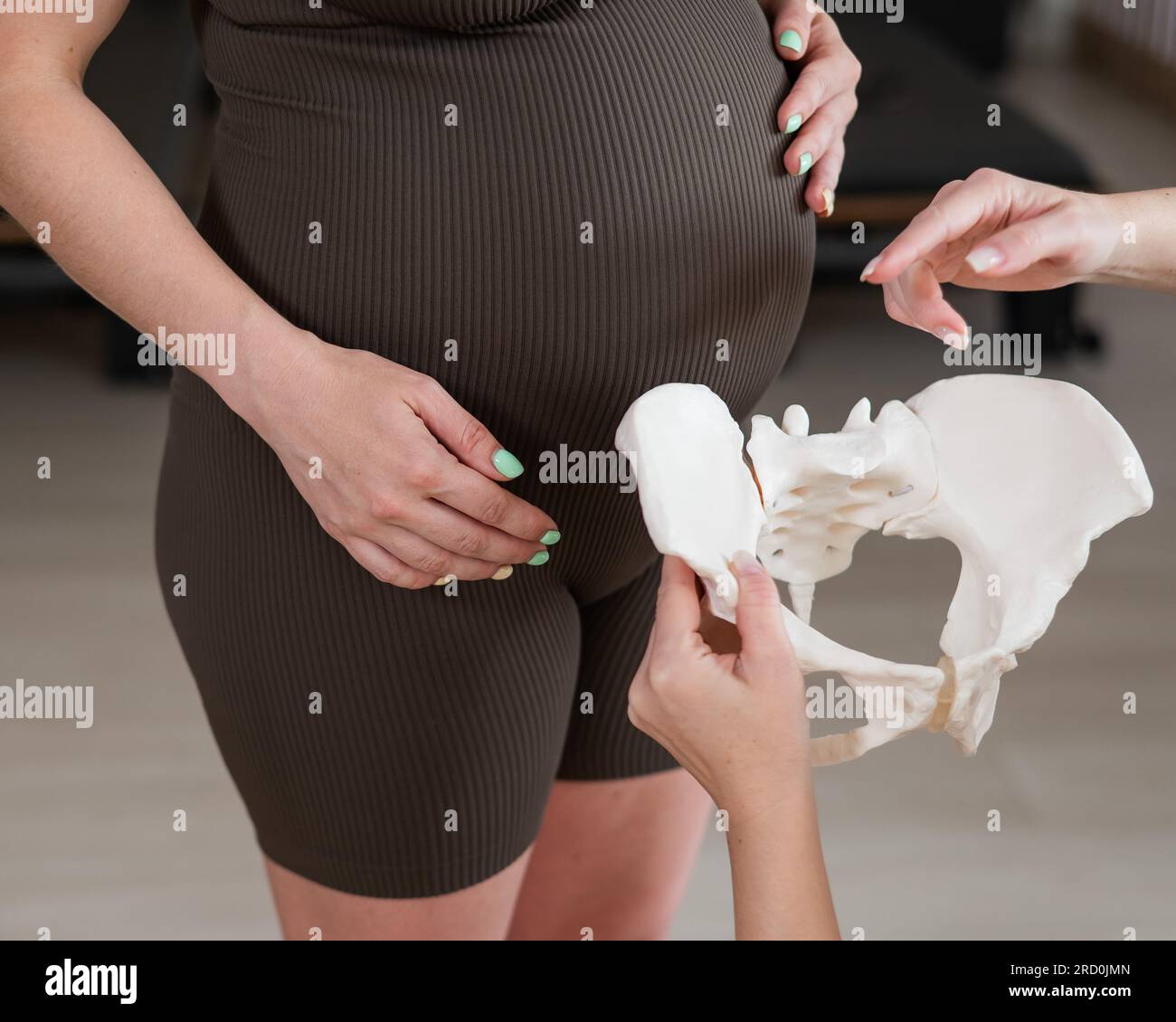 Female pelvis hi-res stock photography and images - Alamy