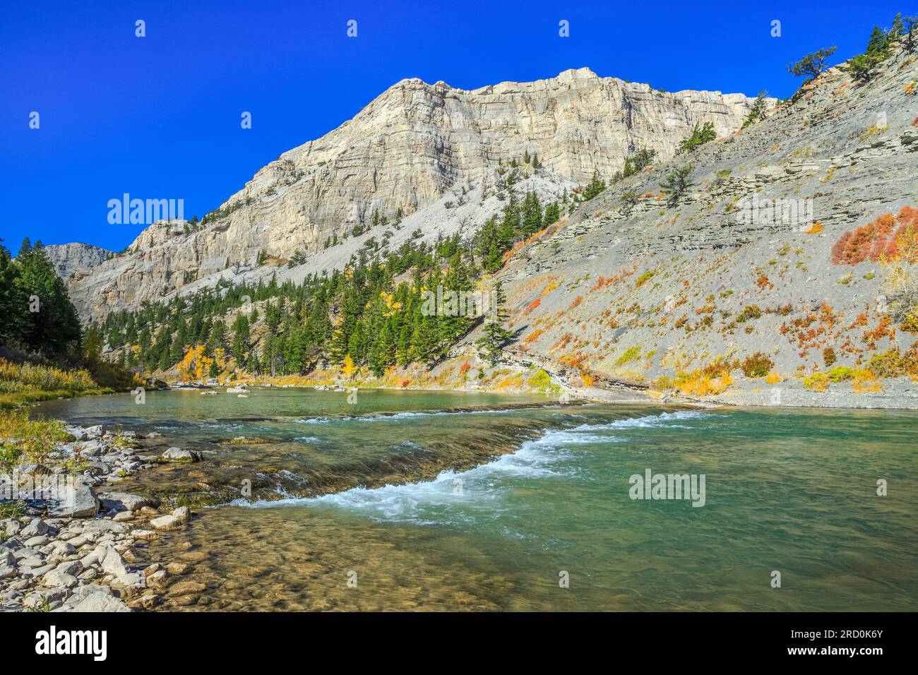 fall colors along the sun river in a canyon below gibson reservoir near ...