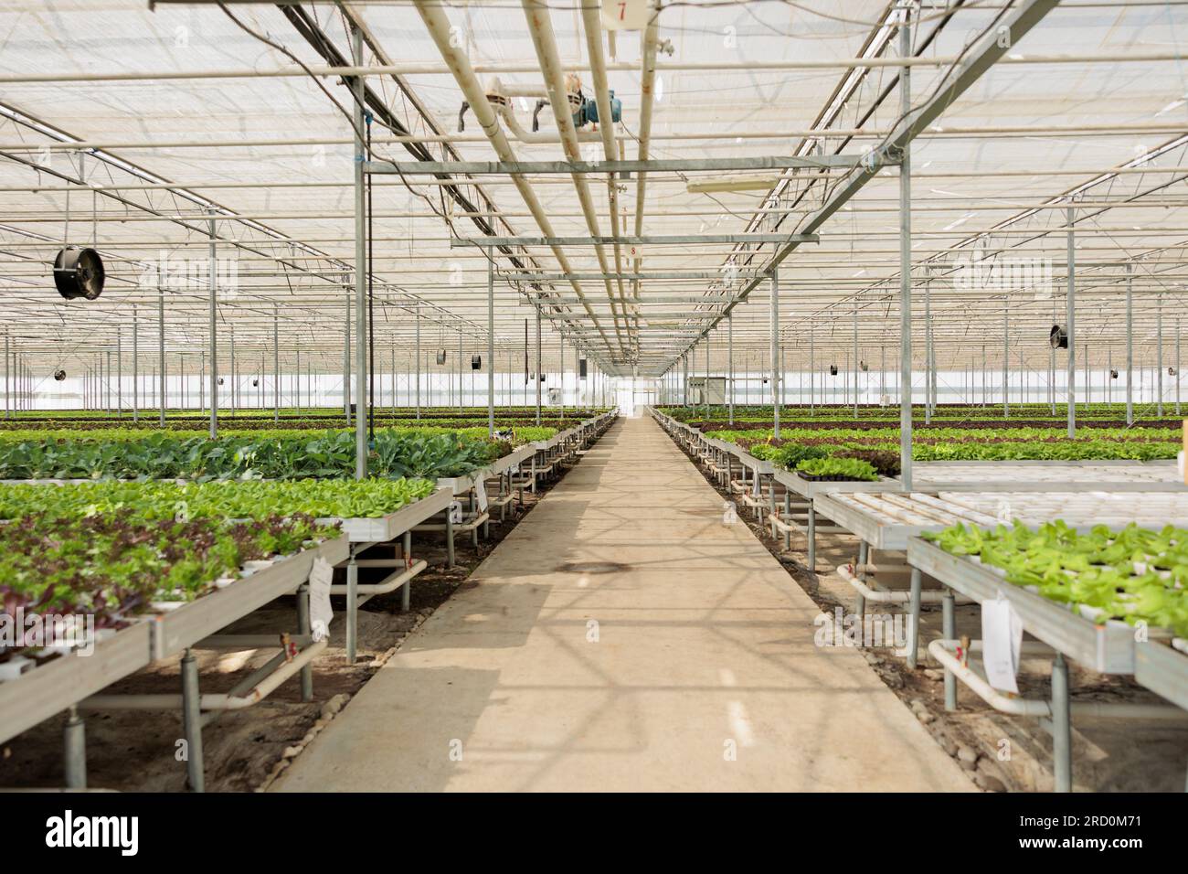 Modern entrepreneurial eco permaculture greenhouse with negative co2 ...