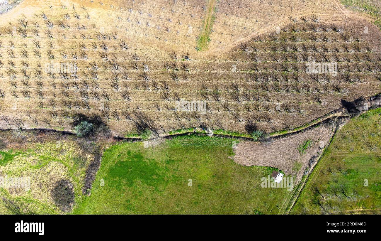 Dry agricultural field due to global warming. Famine concept. Dry soil ...
