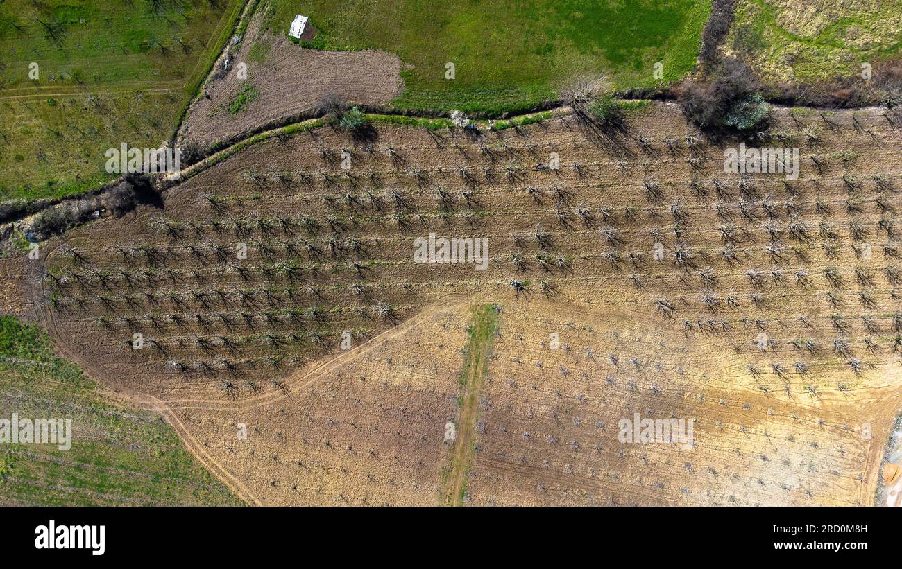 Drought in agricultural field. Global climate change effects ...