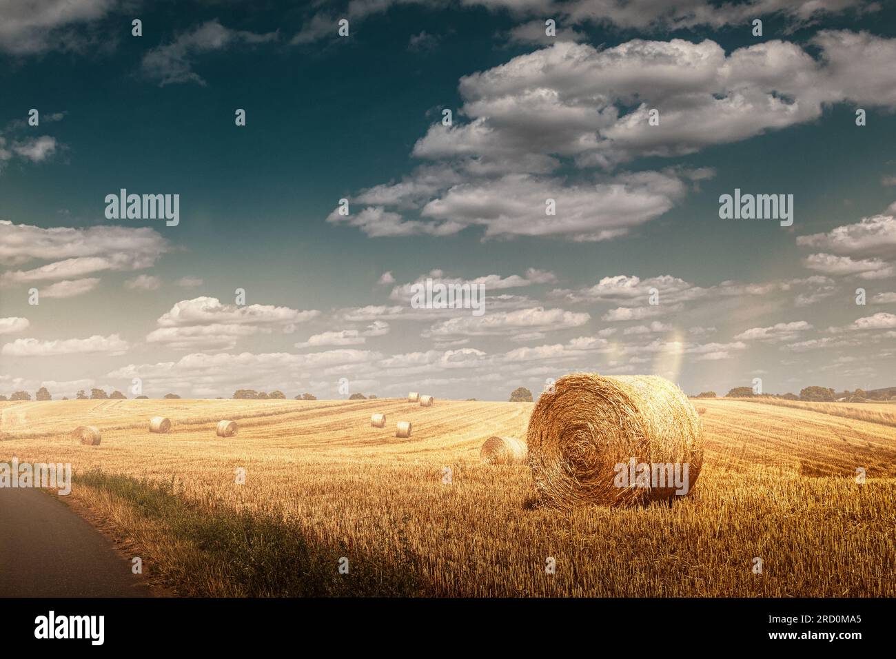 dry crop field with bales of straw with a walkway and beautiful blue ...