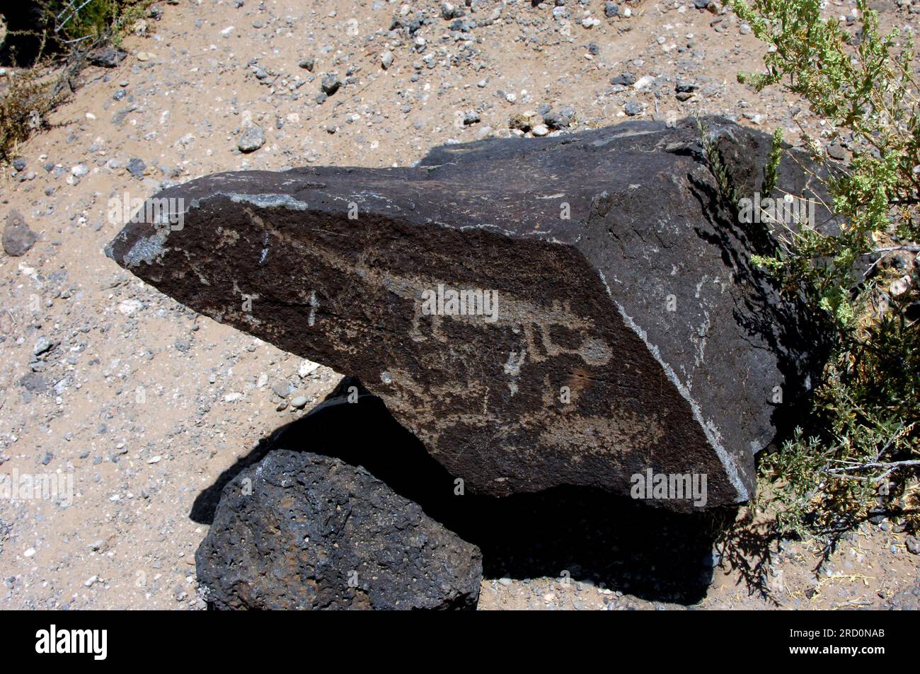 Large basalt boulder displays petroglyph drawing at the Petroglyph ...
