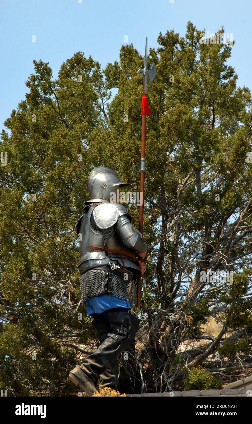 Soldier carrying a halberd marches upward. He is wearing a helmet and ...