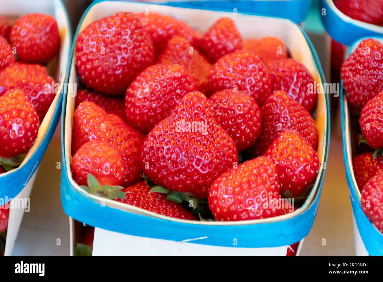 Manon des fraises hi-res stock photography and images - Alamy