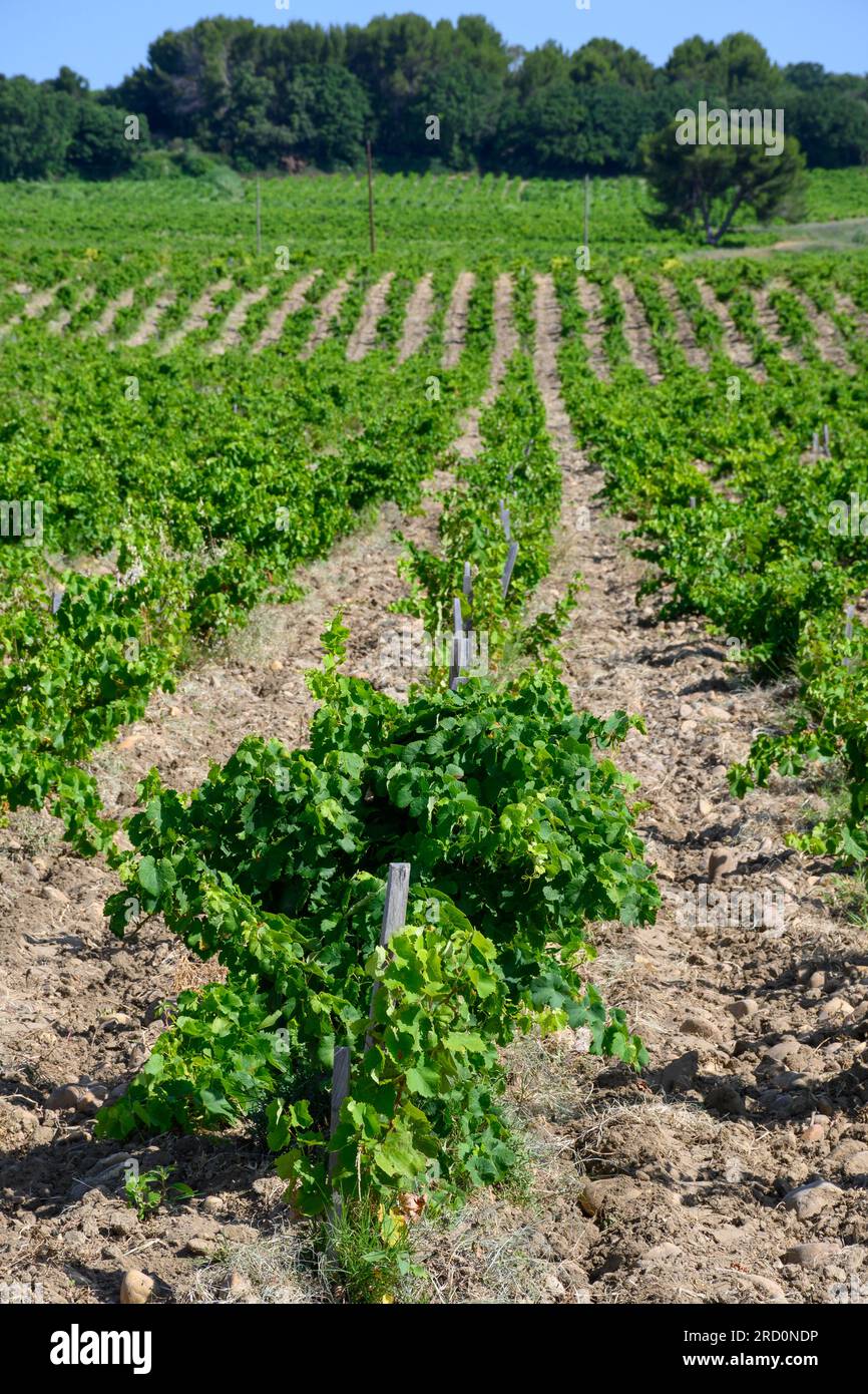 Galets roulés hi-res stock photography and images - Alamy